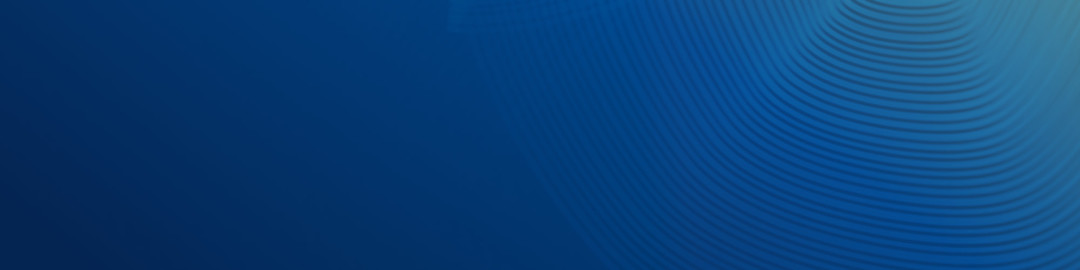 Lower-Middle-Market Private Equity: Where Professionalization Meets ...
