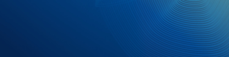 Lower-Middle-Market Private Equity: Where Professionalization Meets ...