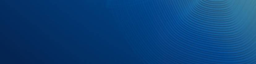Lower-Middle-Market Private Equity: Where Professionalization Meets ...