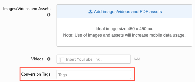 Conversion Tags field on the Edit Item screen