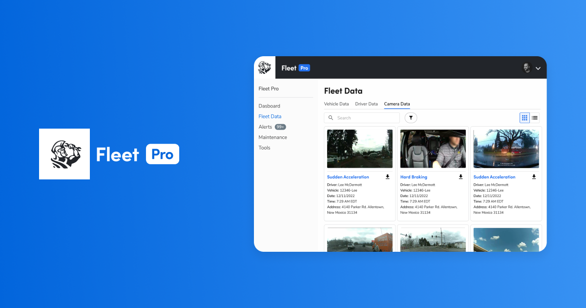 Fleet PRO - Overview page