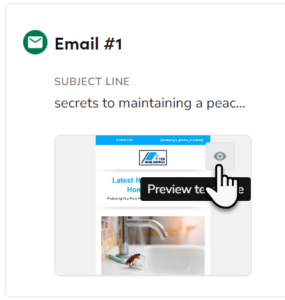 Preview template in campaign content