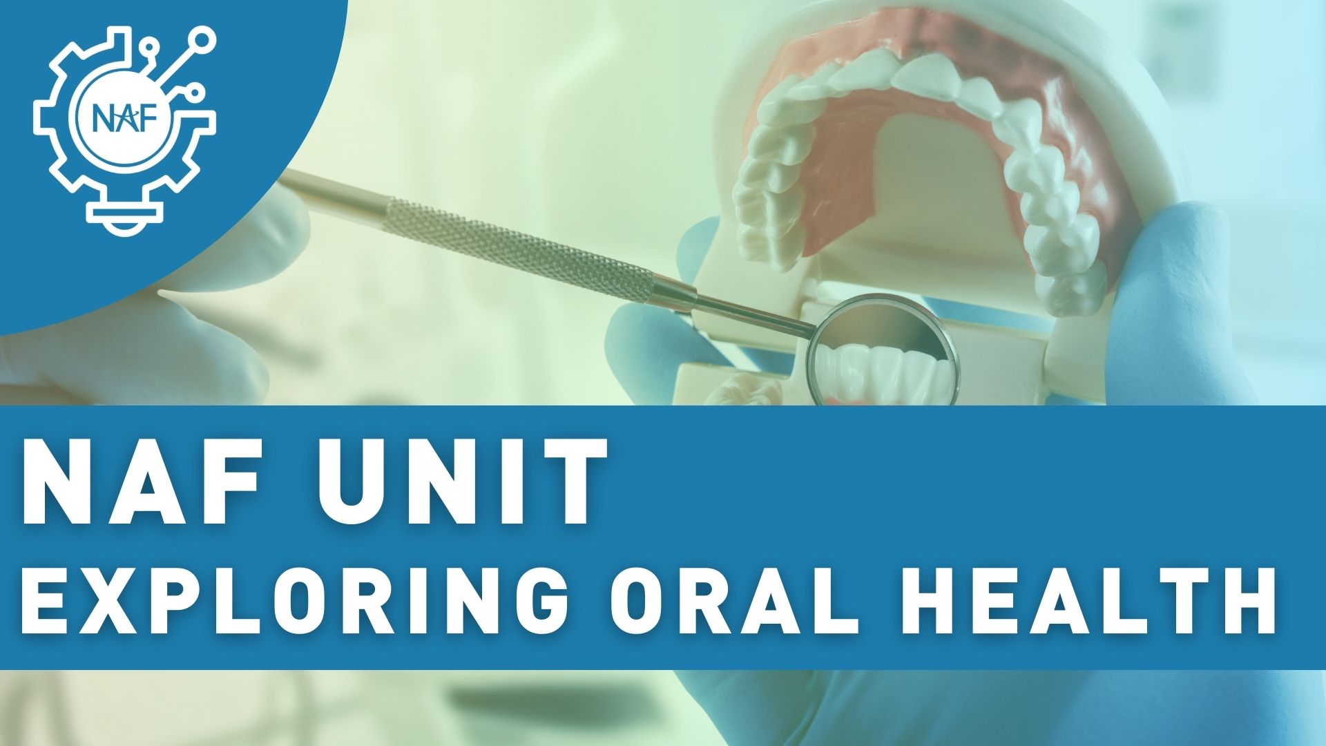 Exploring Oral Health