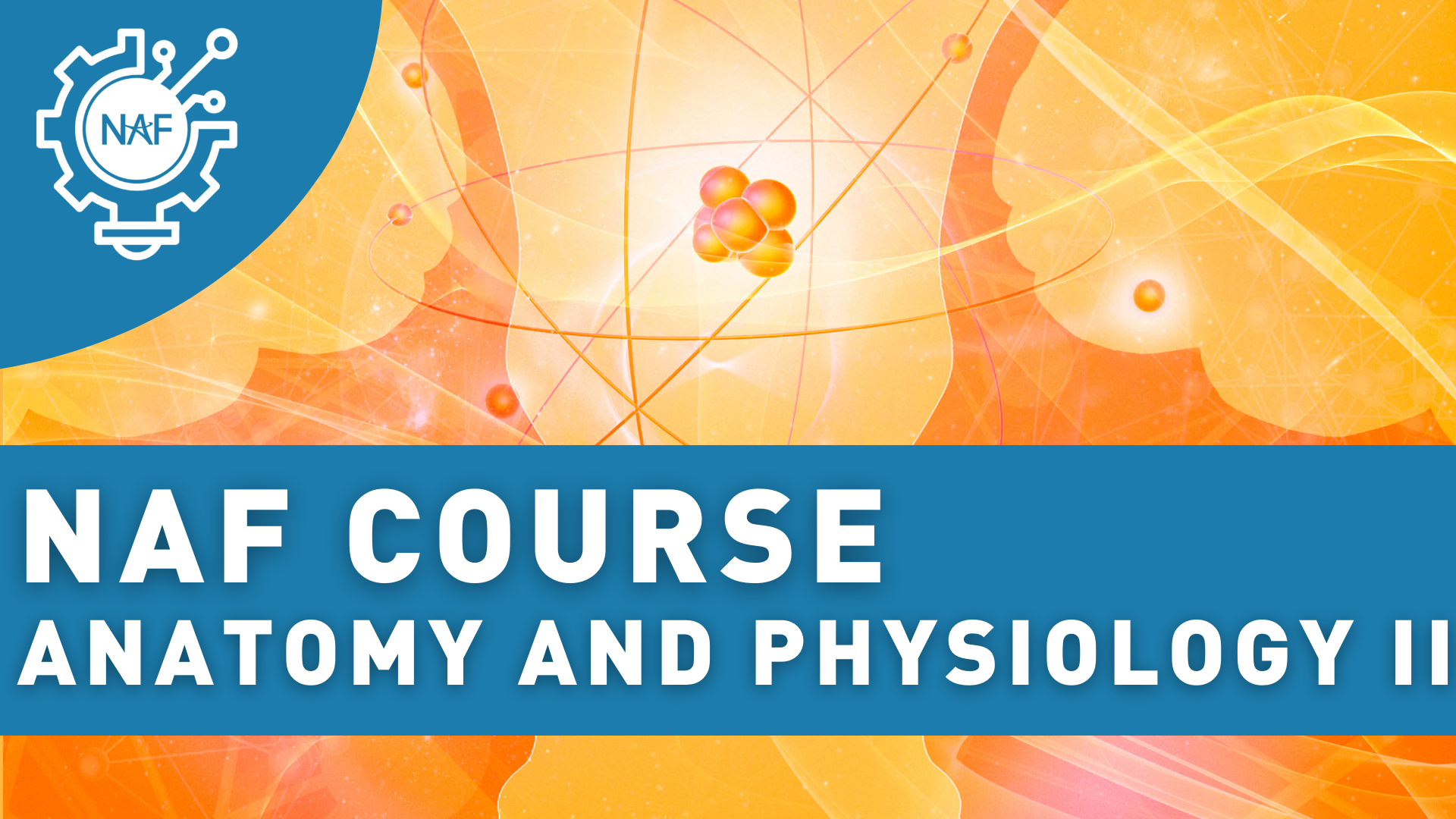 Foundations of Anatomy & Physiology II