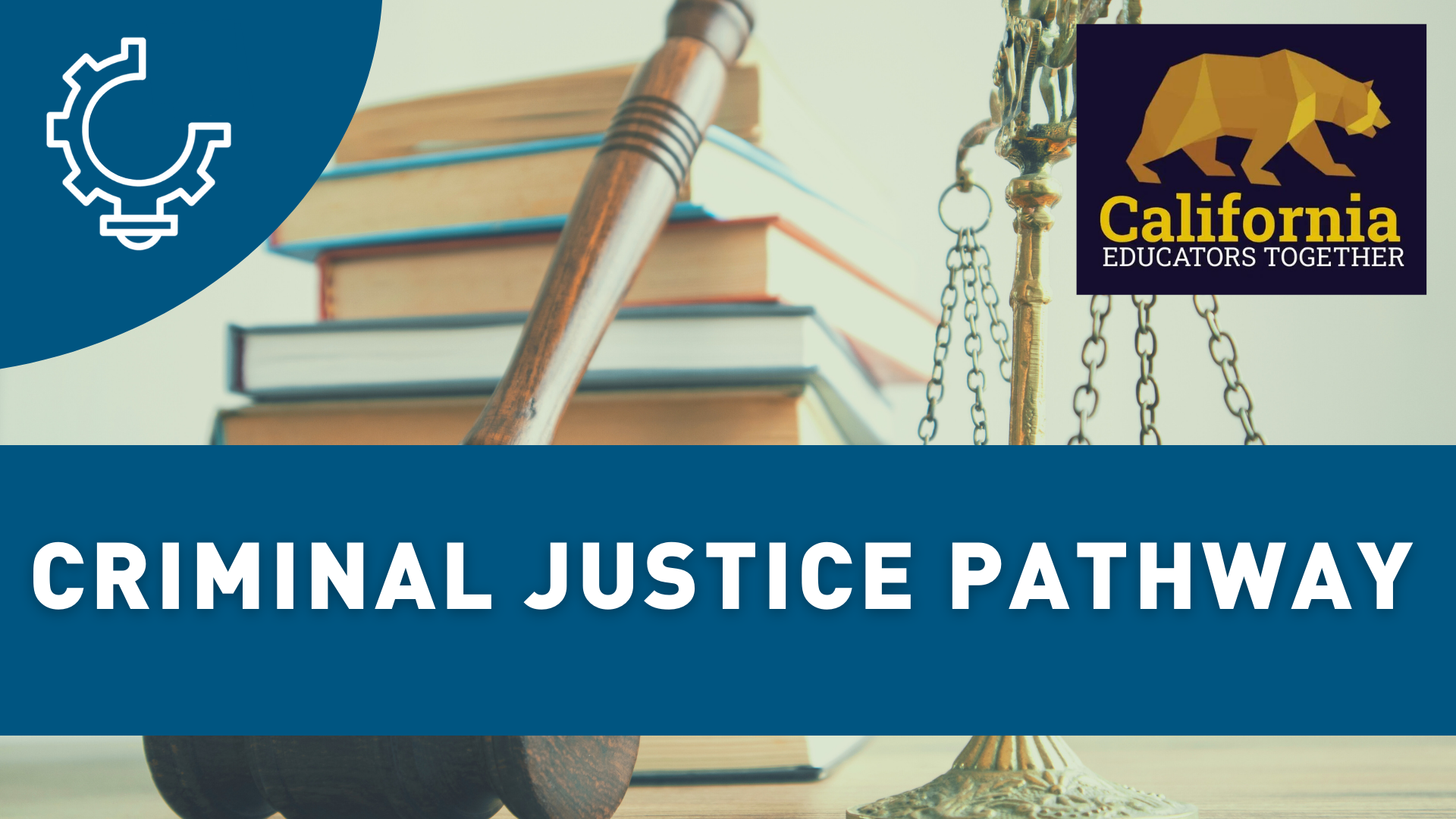 Criminal Justice Pathway