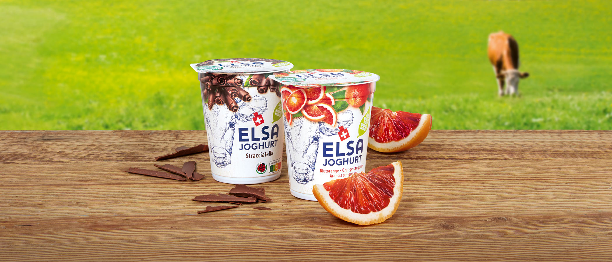 Tester gratuitement: Elsa | Migros Migipedia