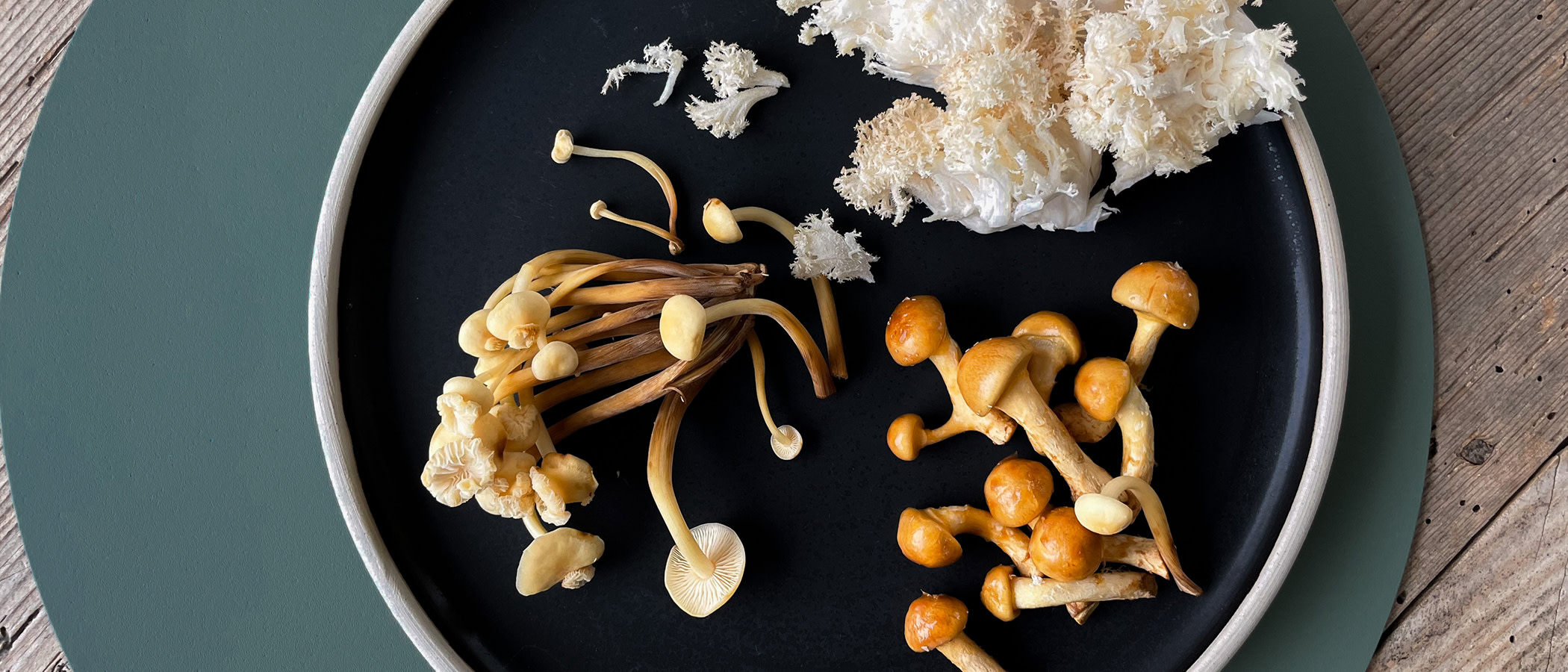 Bio-Edelpilze testen | Migros Migipedia