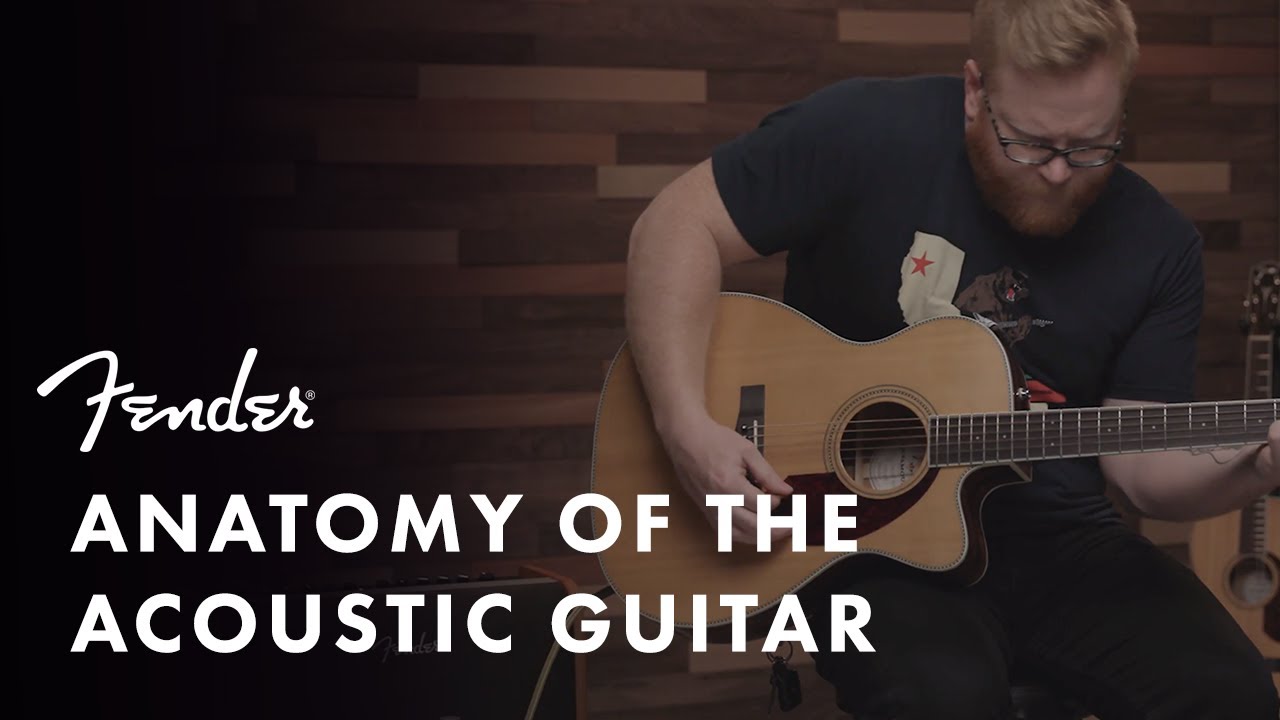 Beginners Hub – Fender