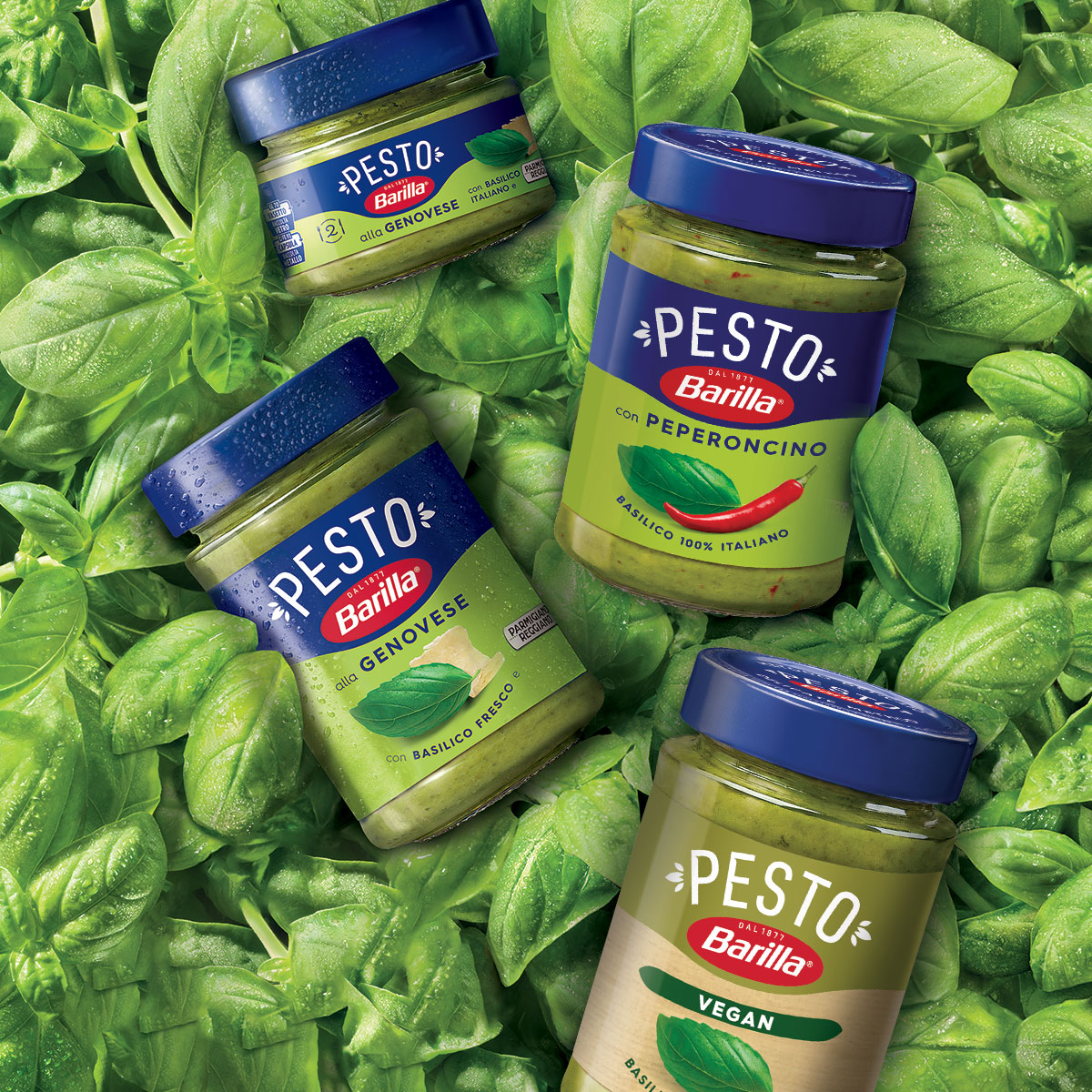 Pesto alla Genovese | Barilla