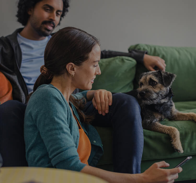 The Hive App | Hive Home