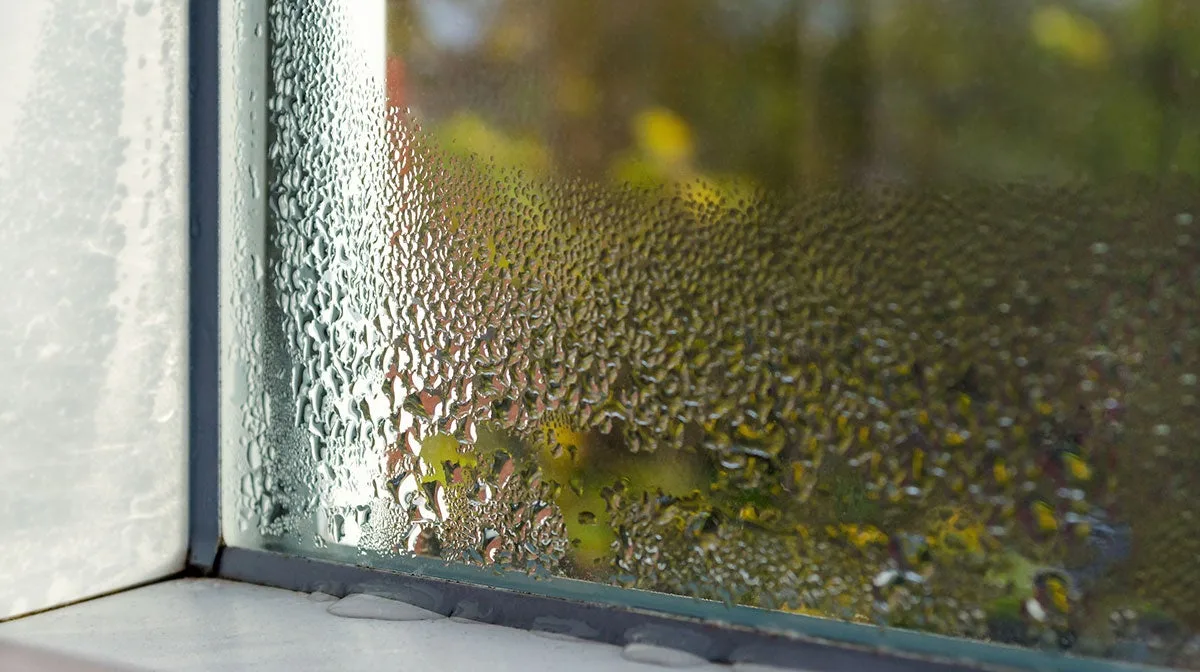 How to Clean Windows & Remove Mold From Windowsill | Clorox™