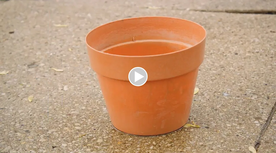 How to Clean Terracotta Clay and Flower Pots with Bleach | Clorox™