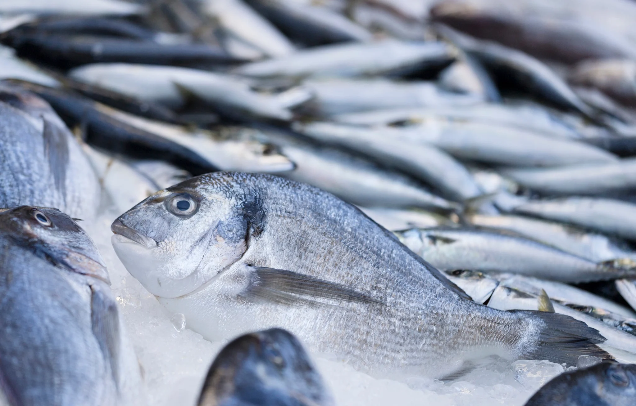 How to Get the Fish Smell Out of Clothes | Clorox™