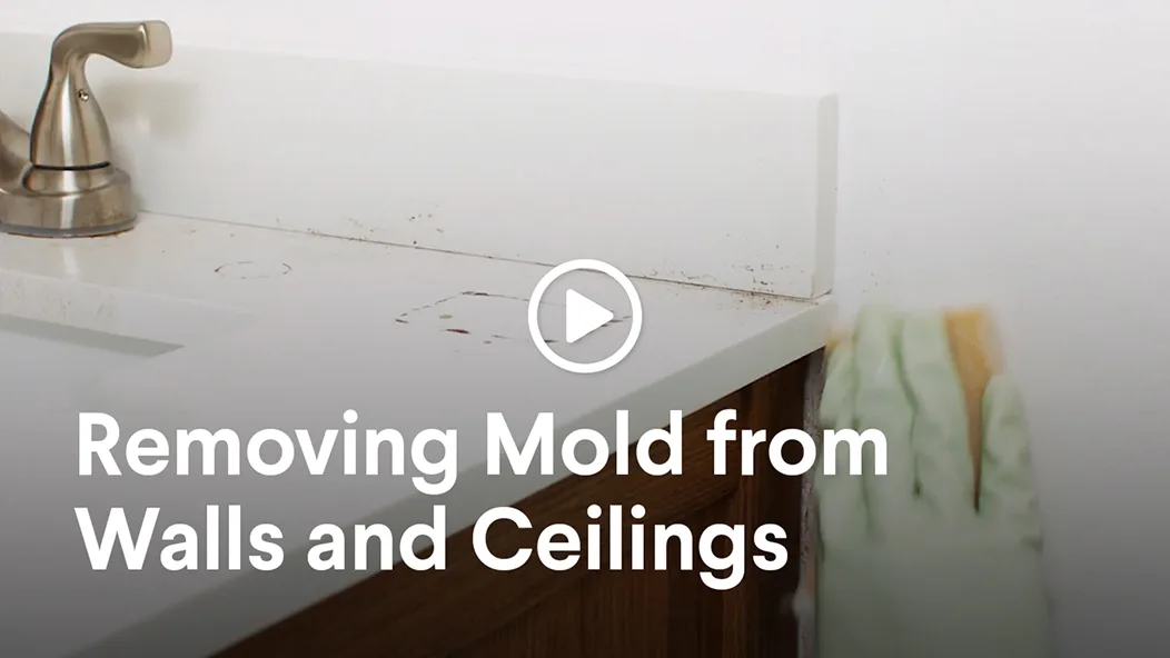 How to Get Rid of Mold in the Shower and on Bathroom Walls | Clorox™