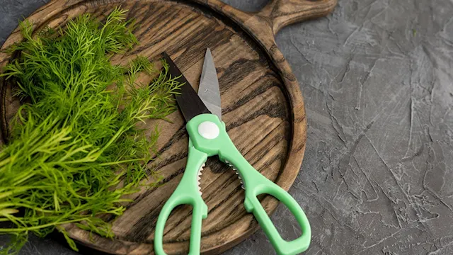 How to Clean Scissors with Bleach | Clorox™