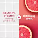 Clorox™ Scentiva™ Disinfecting Mist