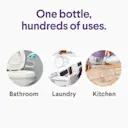 Clorox™ Scentiva™ Scented Bleach - Concentrate | Lavender & Jasmine