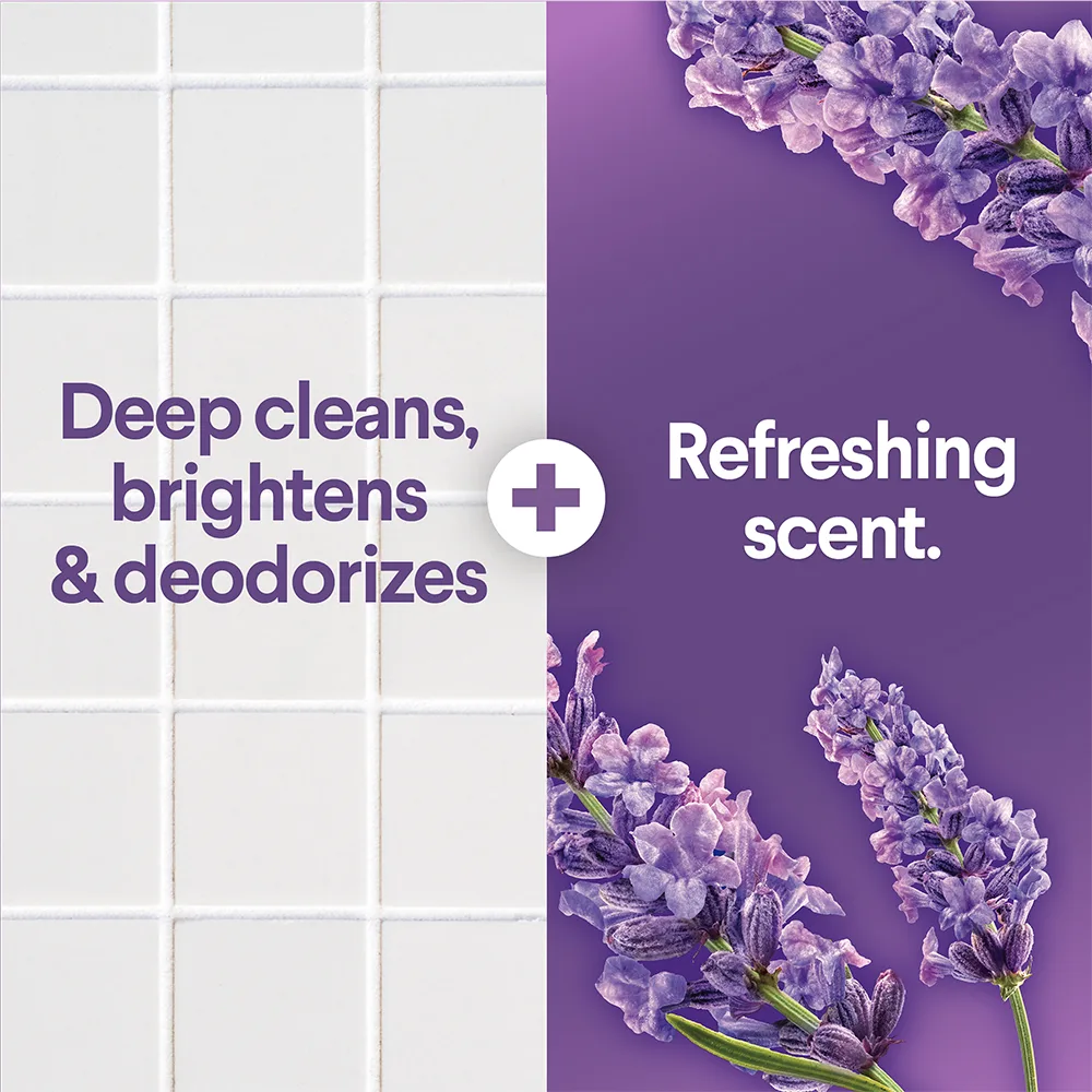 Clorox™ Scentiva™ Scented Bleach - Concentrate | Lavender & Jasmine