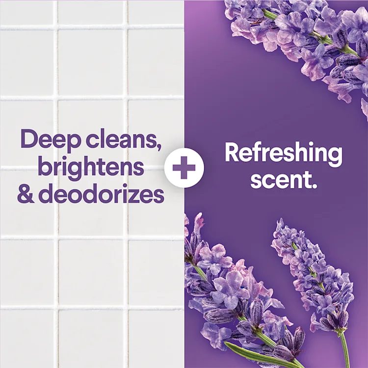 Clorox™ Scentiva™ Scented Bleach - Concentrate | Lavender & Jasmine