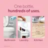 Clorox™ Scentiva™ Scented Bleach - Concentrate | Clorox™