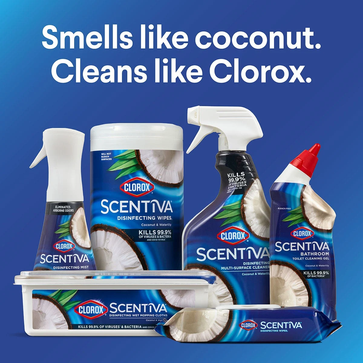 Clorox™ Scentiva™ Disinfecting Wipes | Scented