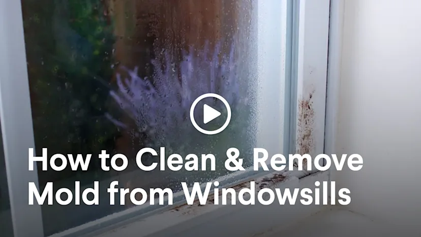 How to Clean Windows & Remove Mold From Windowsill | Clorox™