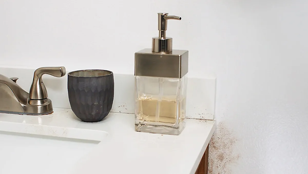 Does Bleach Kill Mold? How to Remove Mold on Walls to Ceiling | Clorox™