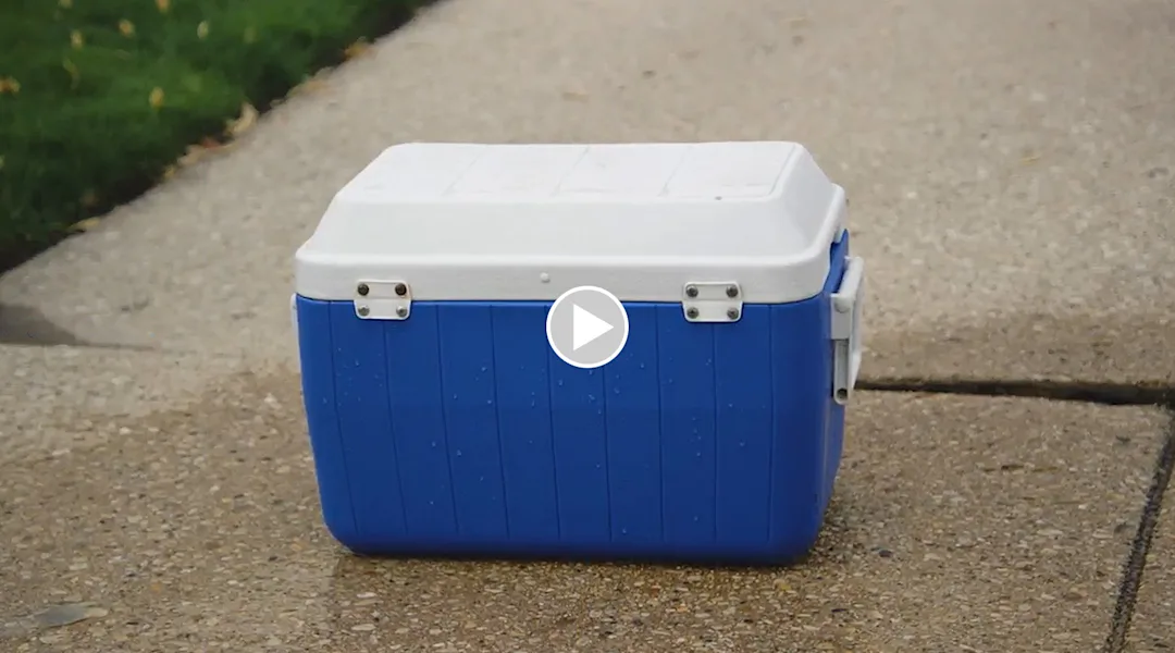 How to Clean and Disinfect a Cooler | Clorox™
