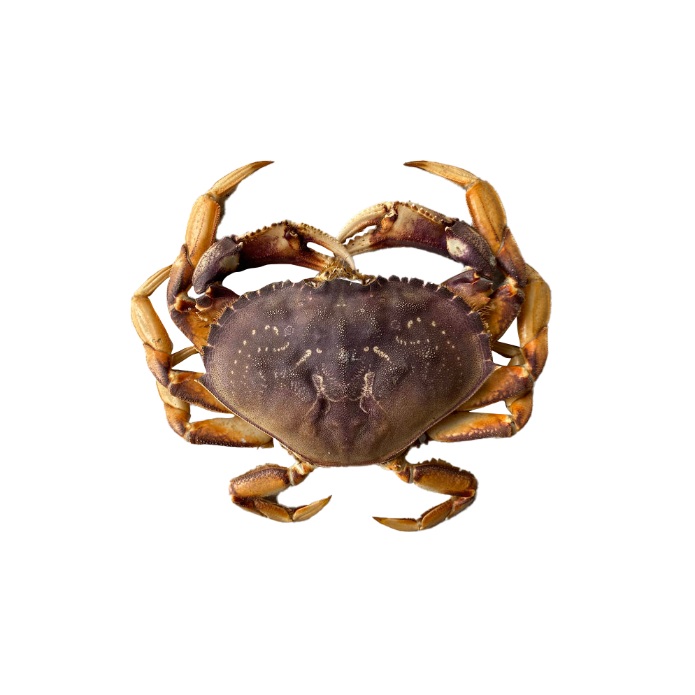 - Pike Place Fish Market Dungeness Crab | Story + Rain