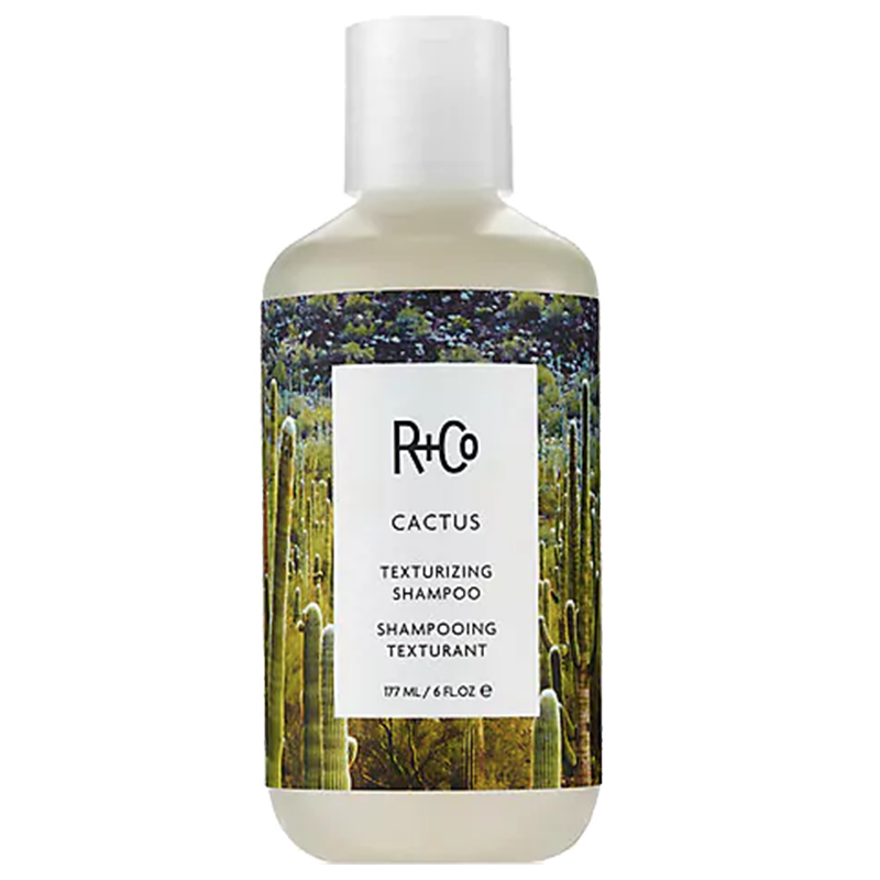 R+Co - Cactus Texturizing Shampoo | Story + Rain