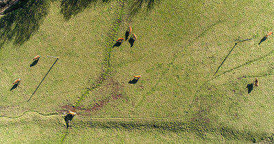 How to create intrusion detection in rural areas using A.I. drones ...