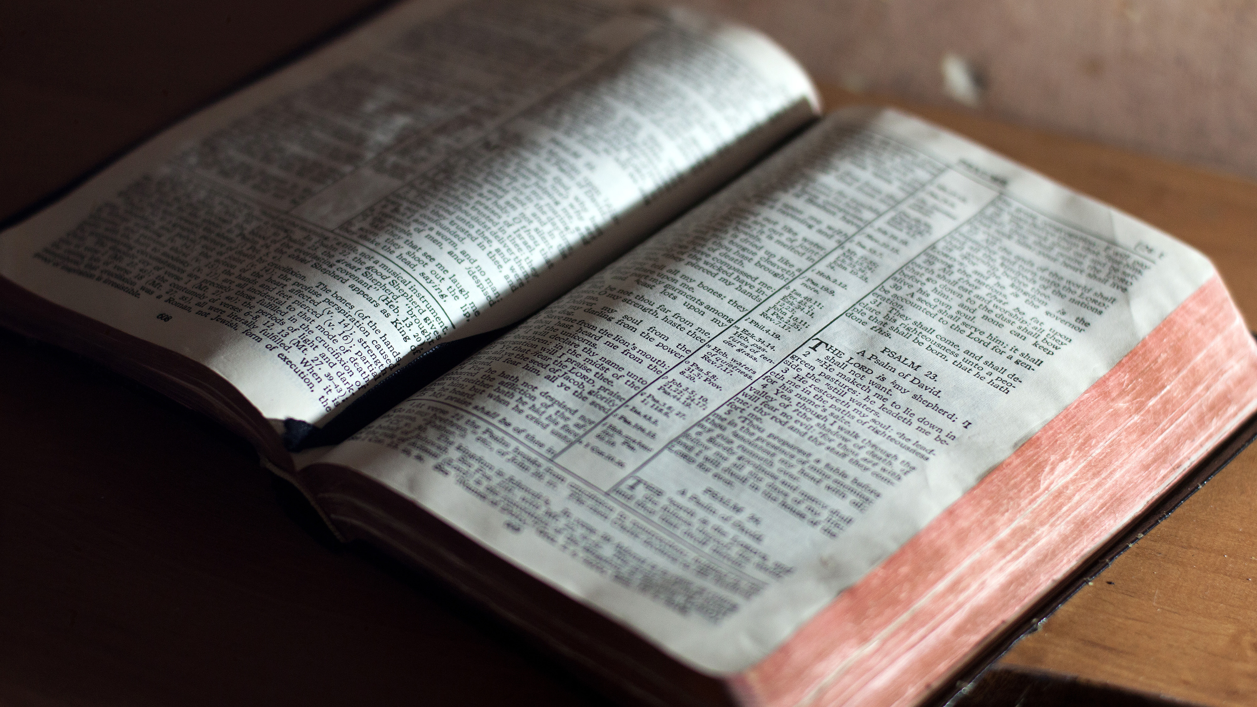 What are the best Bible verses for men according to a PhD?