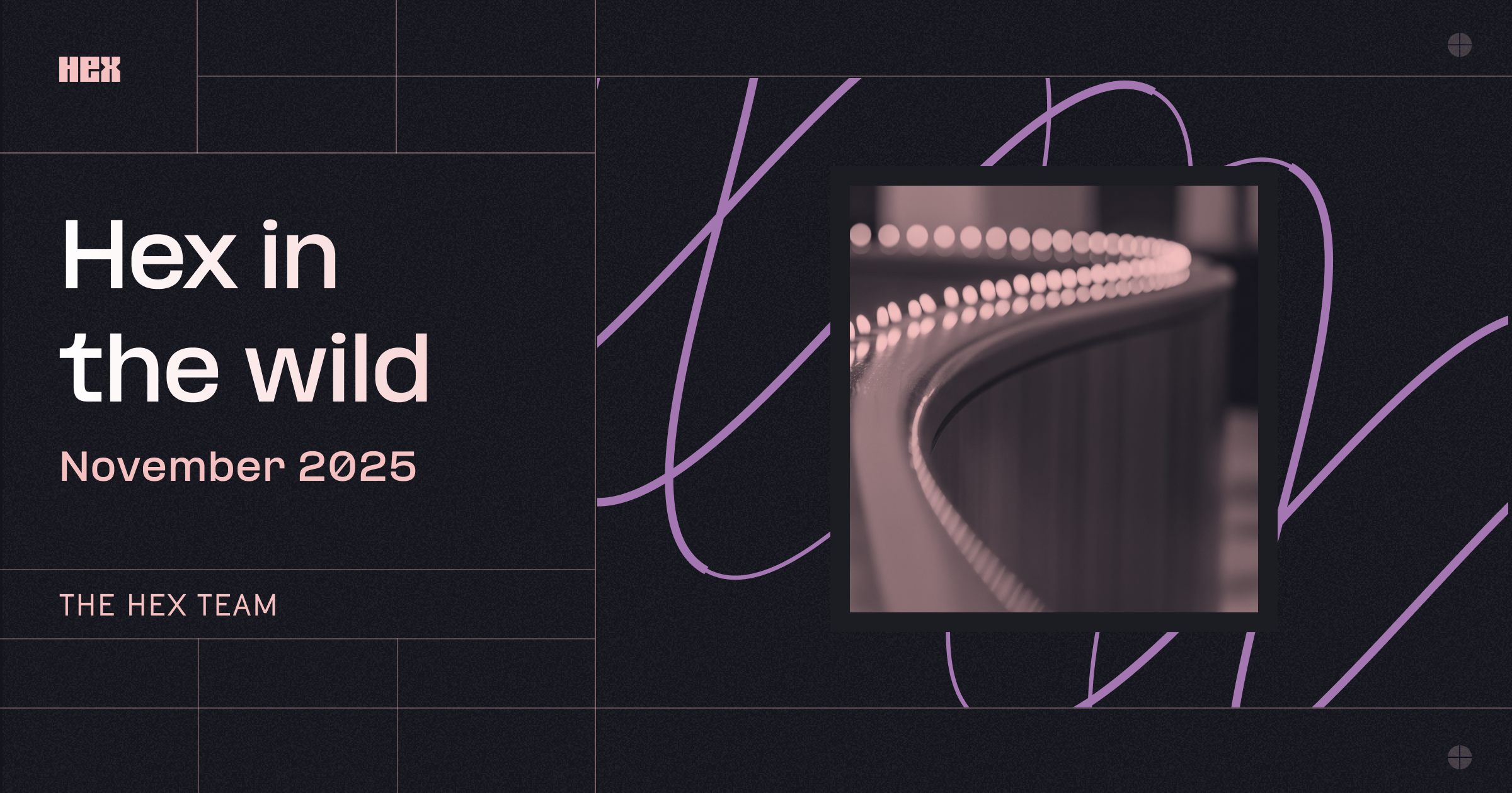 Hex in the Wild: November 2025 spotlights | Hex