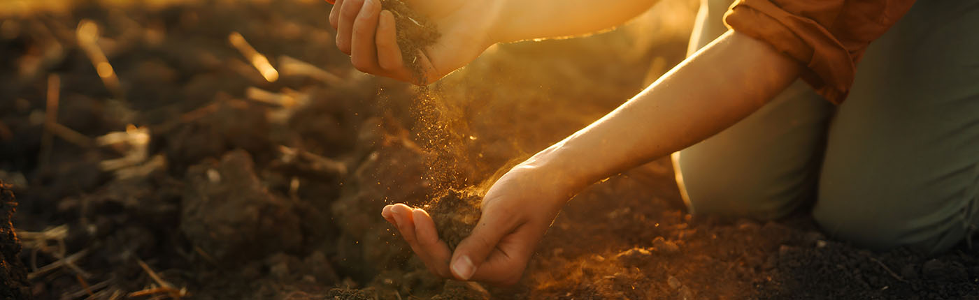 Sustainability Incentive Program