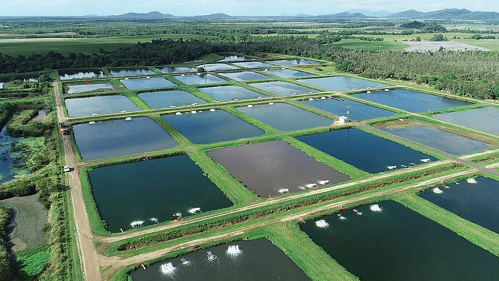Source: Mainstream Aquaculture