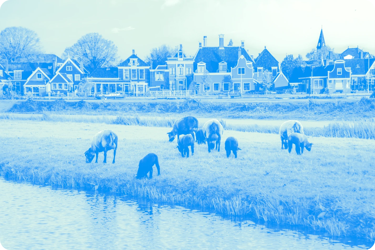 Hiring Remote Workers in the Netherlands - Justworks EOR