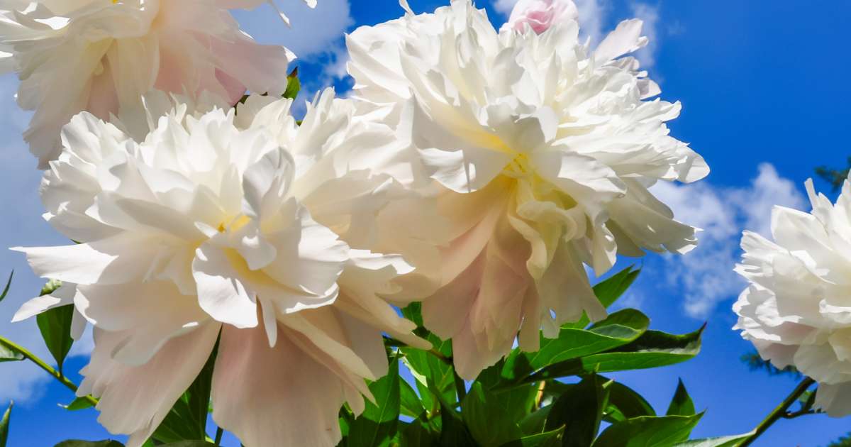 How to find your signature scent with the help of a perfume expert ...