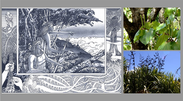 Māori and Pasifika Superstars of STEAM | MOTAT | New Zealand