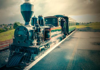 Steam Trains | MOTAT | New Zealand