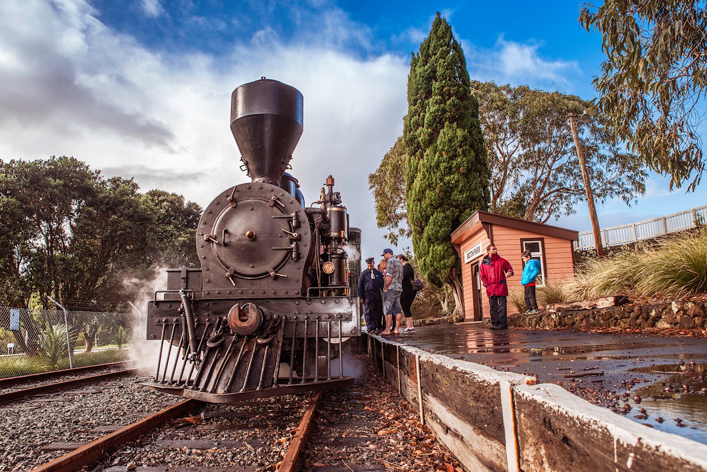 Steam Trains | MOTAT | New Zealand