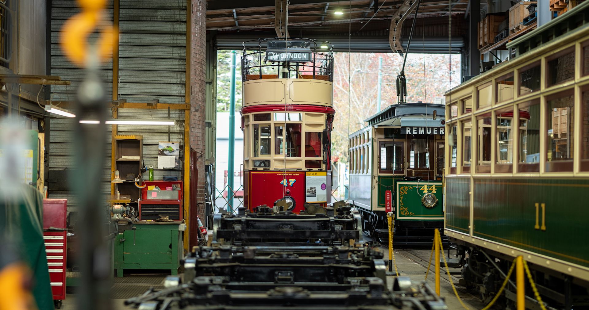 Events | MOTAT | New Zealand