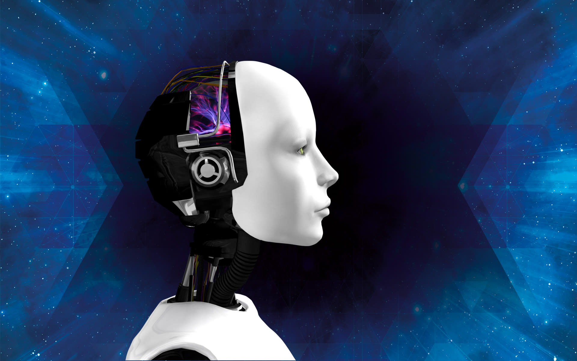 Learning | MOTAT | New Zealand