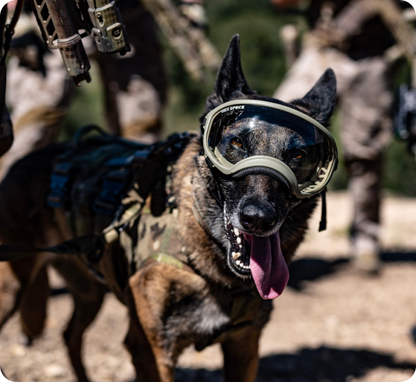 How Rex Specs uses Postscript and conversational SMS to drive 100x ROI