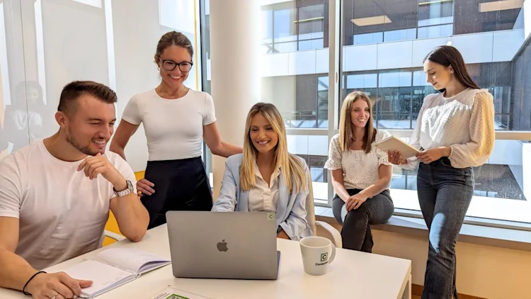 Career Opportunities at Consulteer | Join Our Dynamic Team