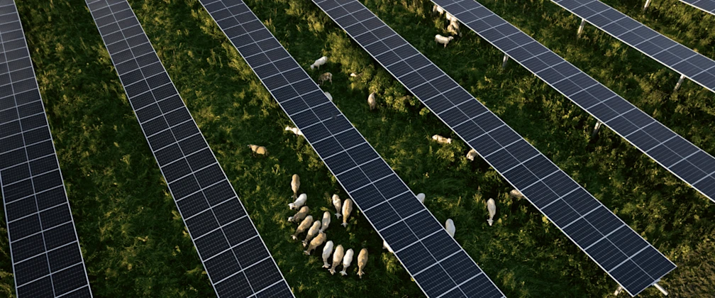 Strip, rotational, extensive and contract grazing | Nofence