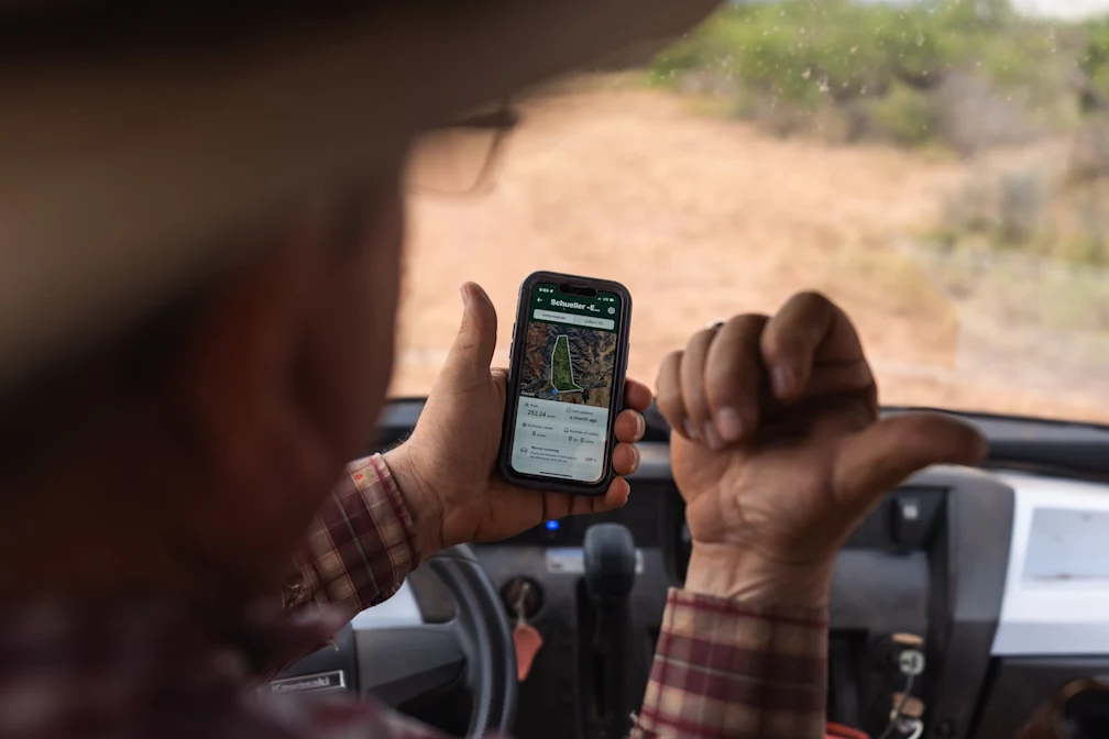 Herd instinct and livestock behavior in virtual fencing | Nofence
