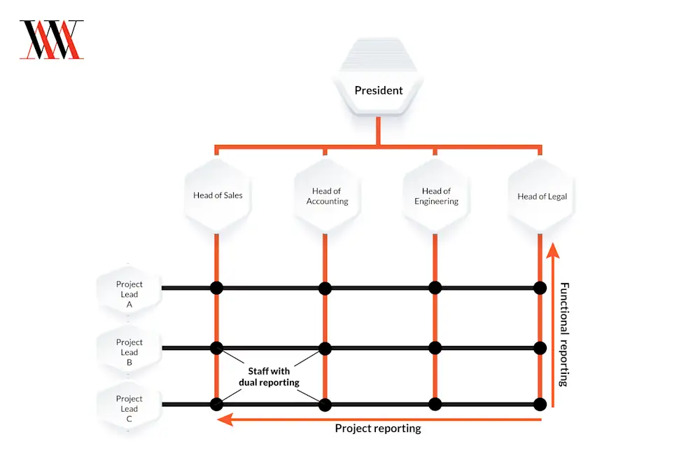 What Matters: What Are the Four Types of Business Organizational ...