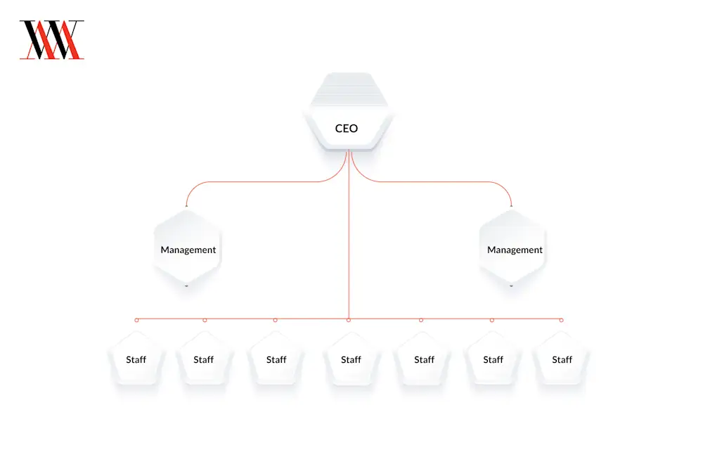 What Matters: What Are the Four Types of Business Organizational ...