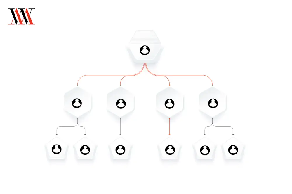 What Matters: What Are the Four Types of Business Organizational ...