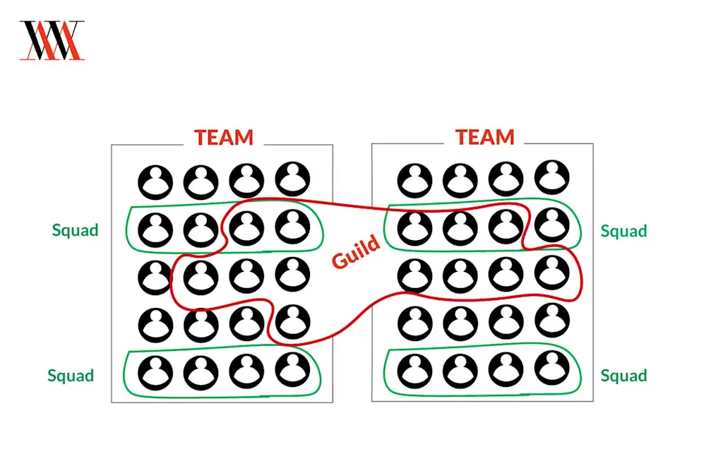 What Matters: What Are the Four Types of Business Organizational ...